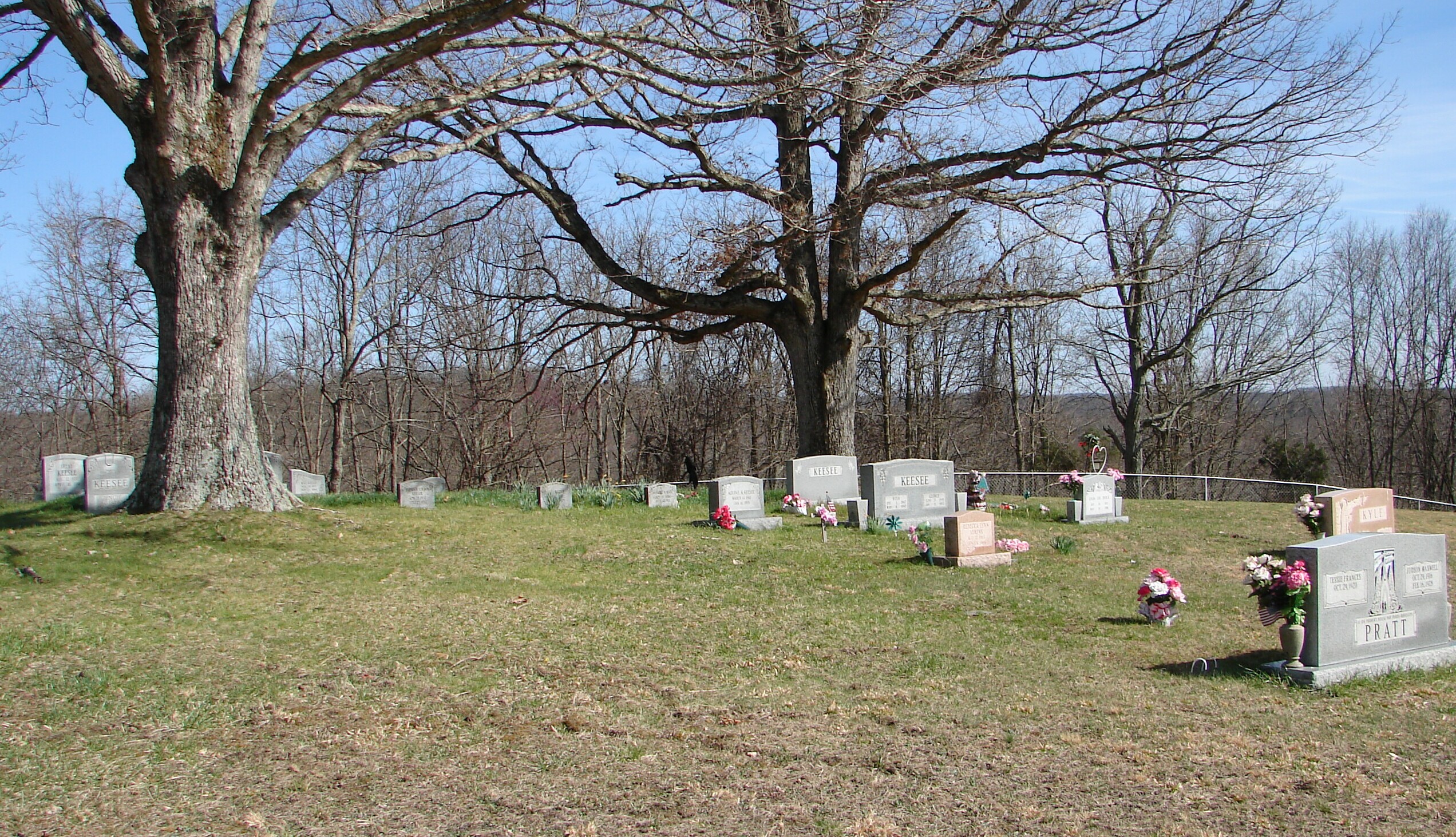 Walter Keesee Cemetery