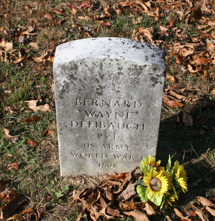 Pleasants County, WV Genealogy Page